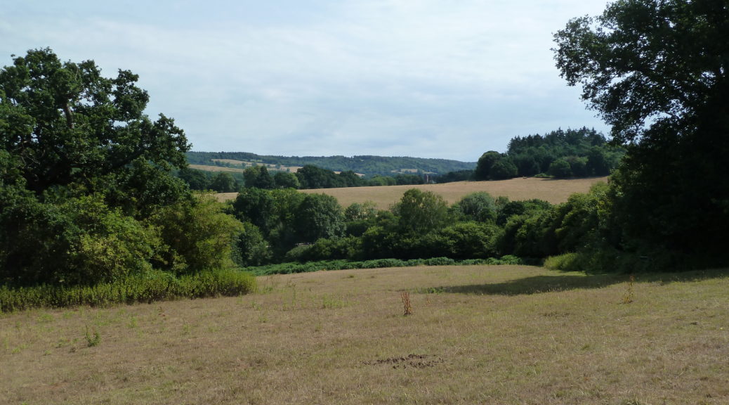 SATURDAY 21st JULY: SHAWFORD (HANTS) (CIRCULAR) | London based walking, rambling and hiking